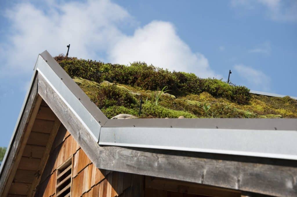 Tout savoir sur les toits verts - 3e habitat